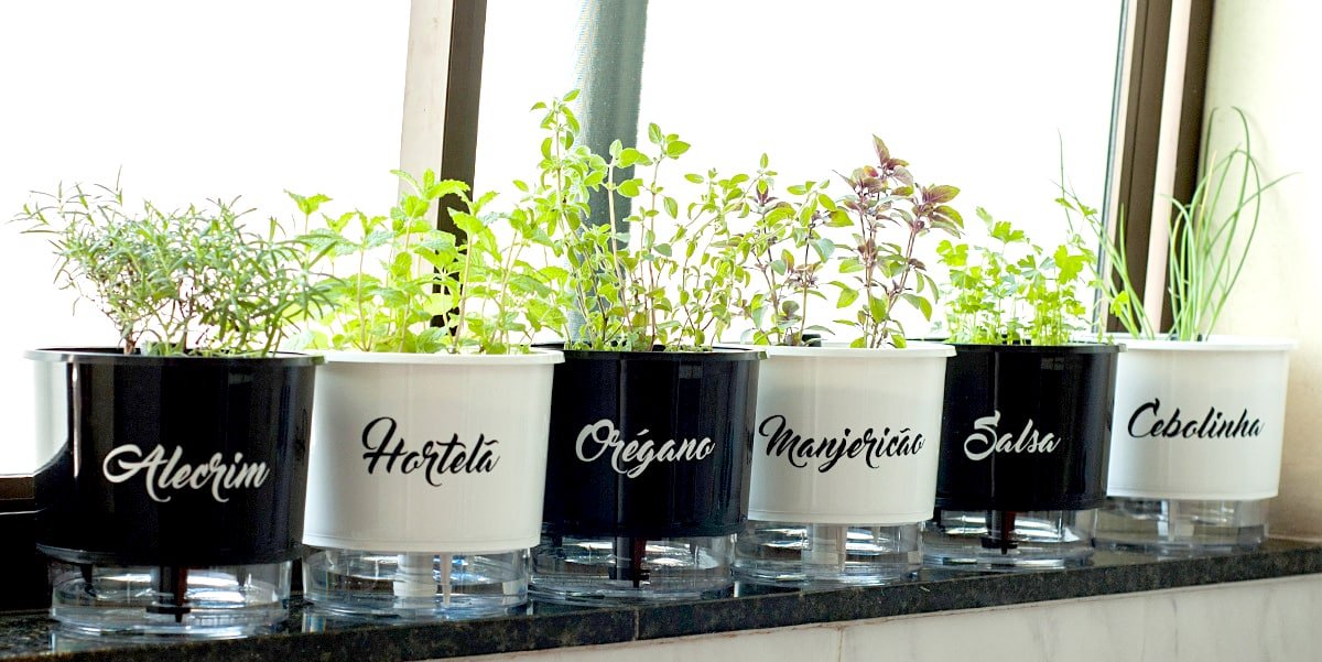 Horta: Faça Agora A Sua Em Casa, Fácil E Prático! Confira!