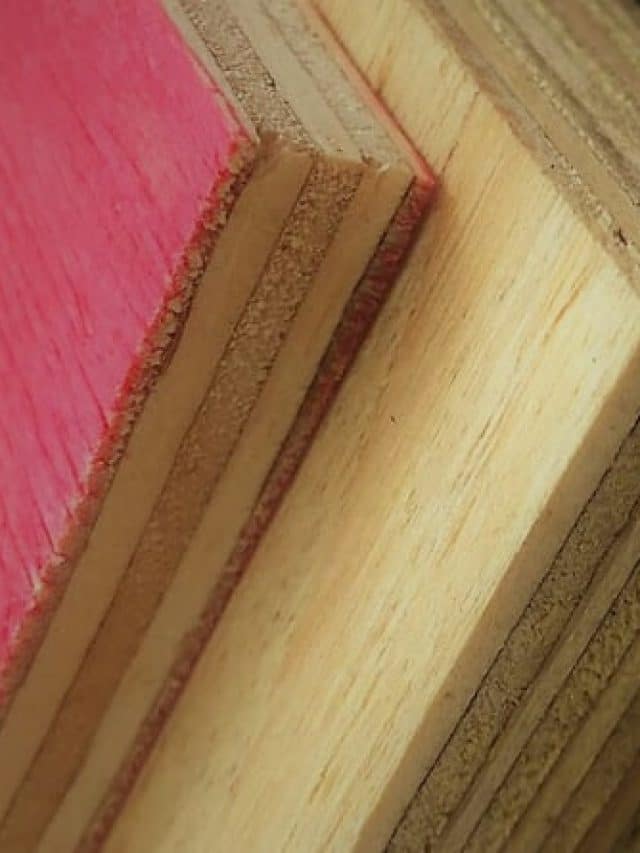 Madeira Compensada: Saiba tudo sobre esse material aqui! - A Arquiteta