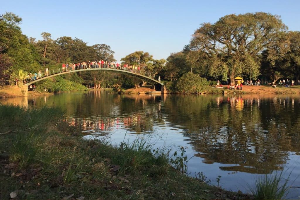 A Arquitetura De Oscar Niemeyer No Parque Ibirapuera Em São Paulo