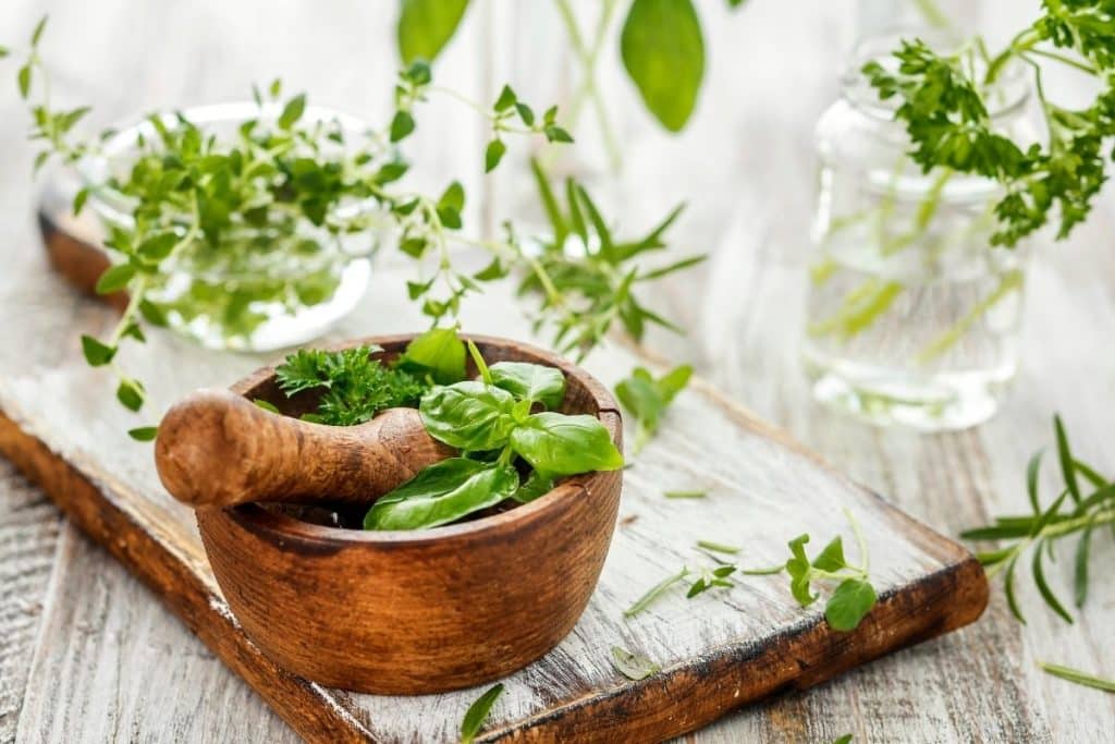Como Plantar Um Jardim De Ervas Em Sua Varanda!