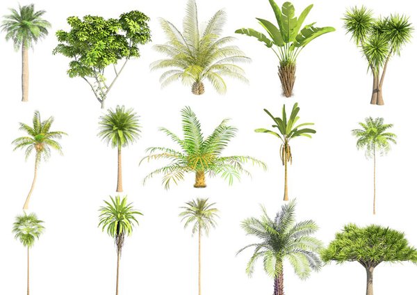 Biblioteca de Famílias Revit Completa | A Arquiteta