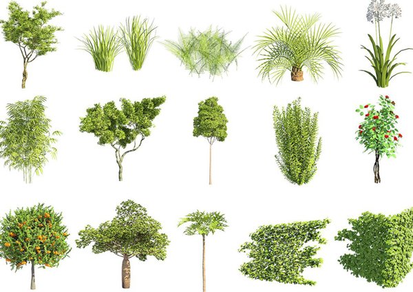 Biblioteca de Famílias Revit Completa | A Arquiteta